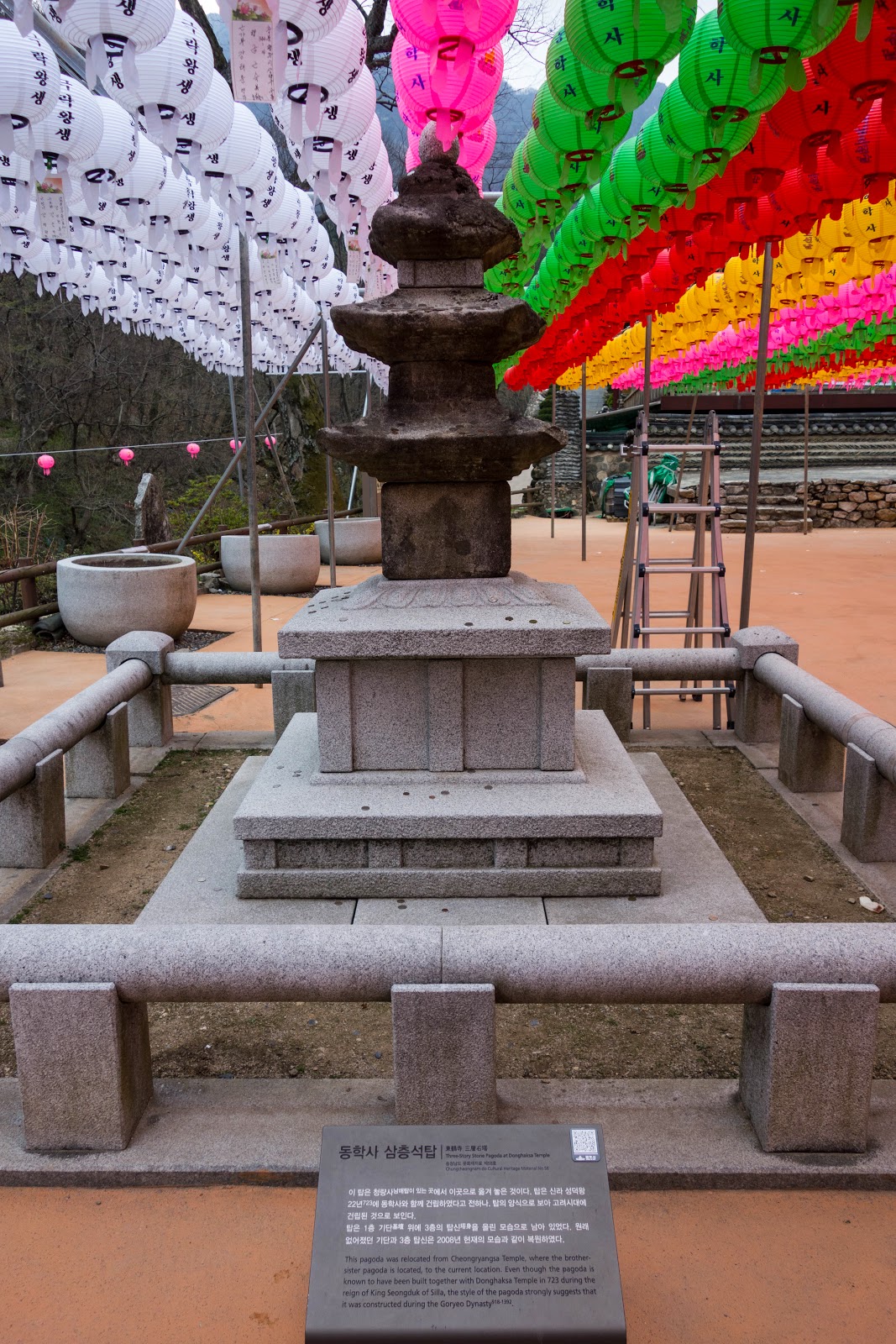 G'Day Korea: Cherry Blossoms and Donghaksa Temple