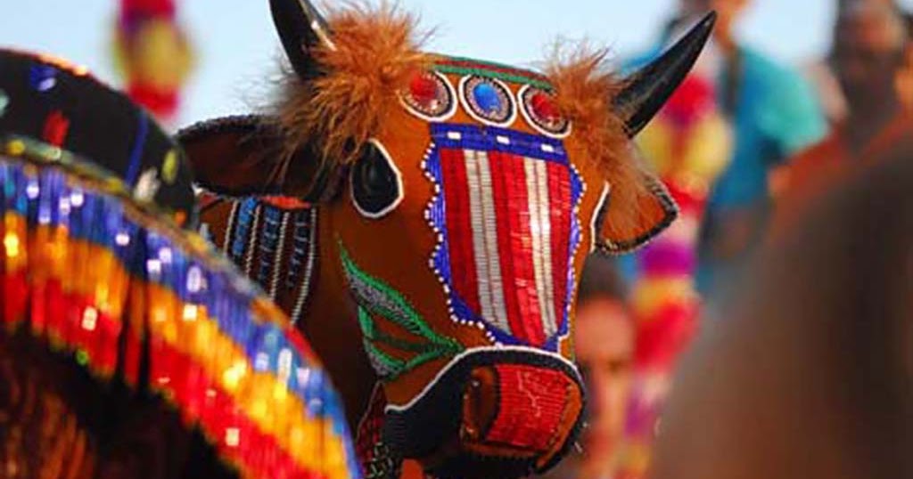 Lenda do Bumba Meu Boi | Mitos e Lendas