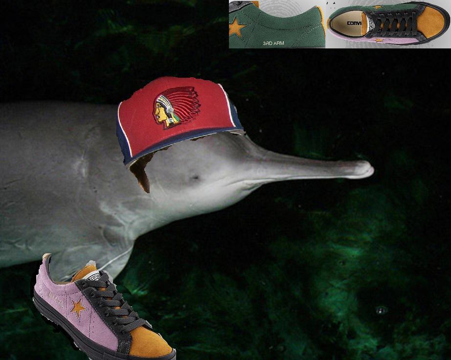 Baiji-Chinese River Dolphin