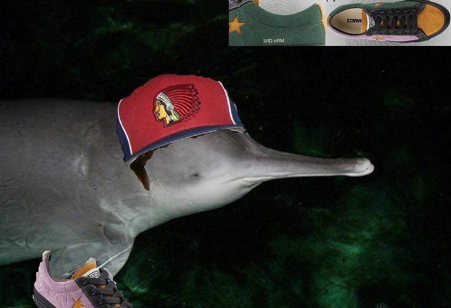 Baiji-Chinese River Dolphin