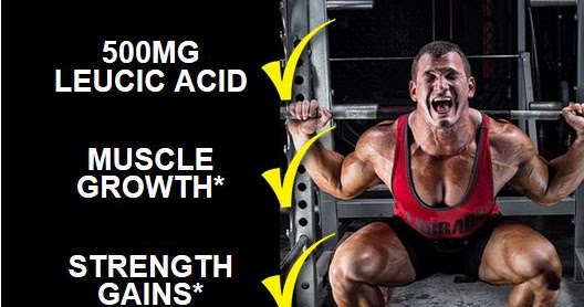 SUPLEMENTOS DEPORTIVOS: HICA-MAX 90 TABLETAS MASTICABLES