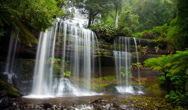 Medio Ambiente.: Reservas Naturales