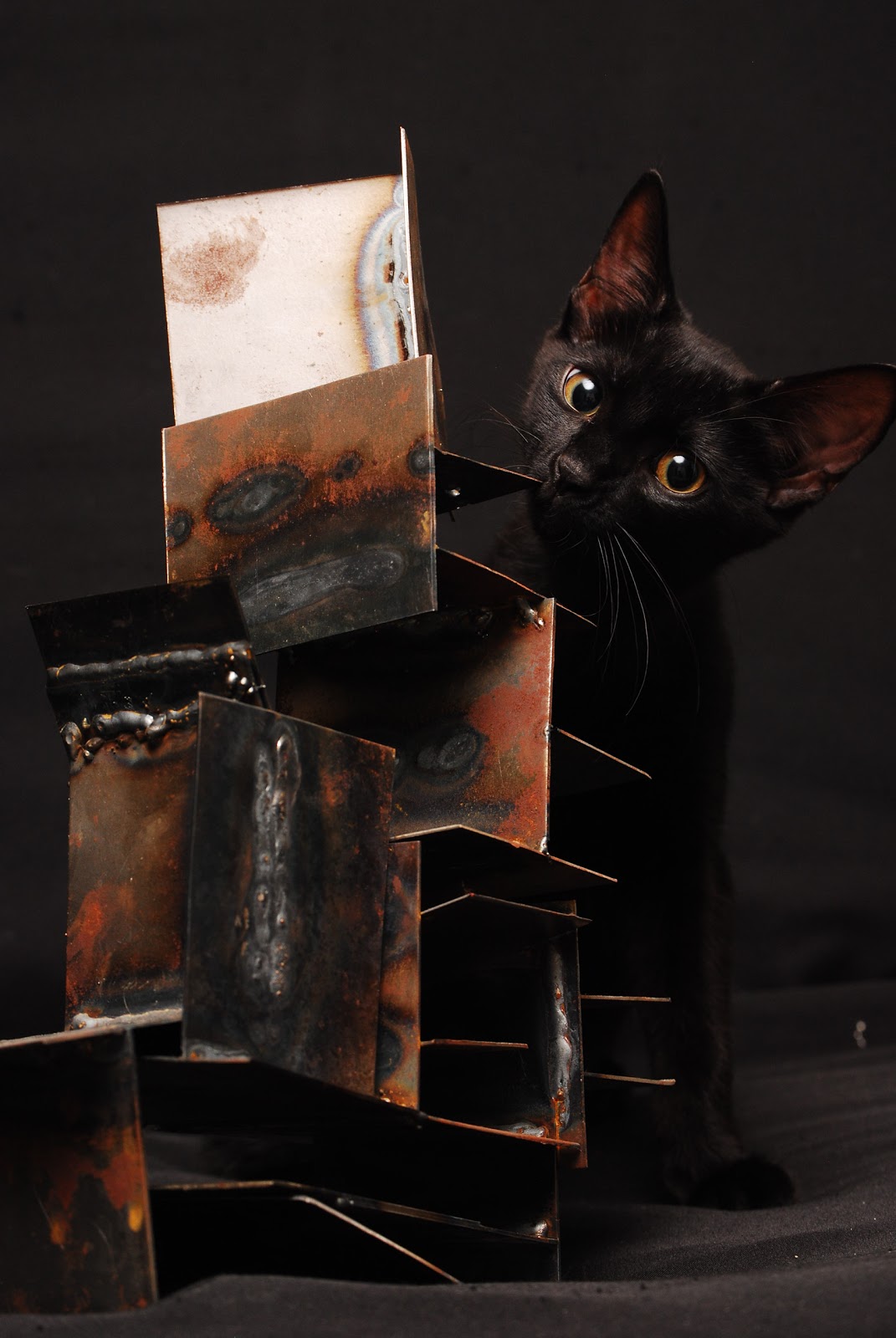 Tim Jones Photography