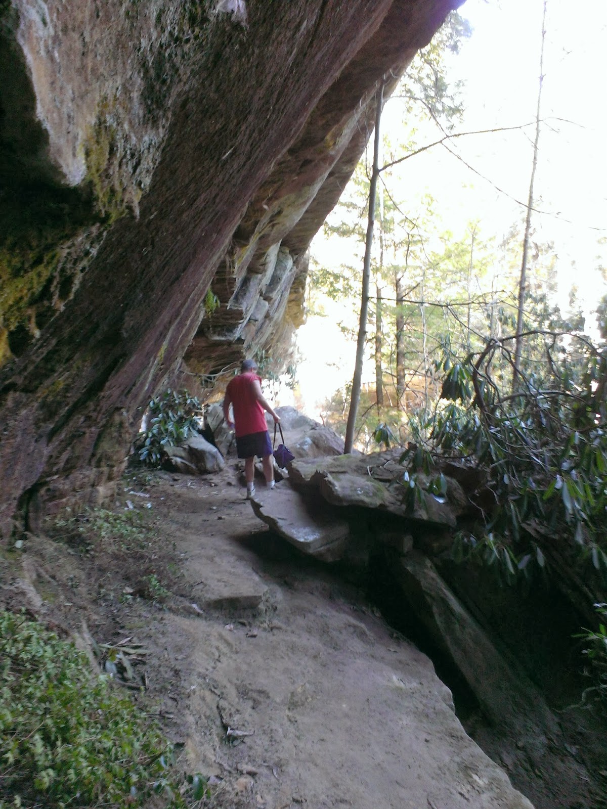 TRAVELING on a BUDGET : Northrup Falls located at Colditz Cove State ...