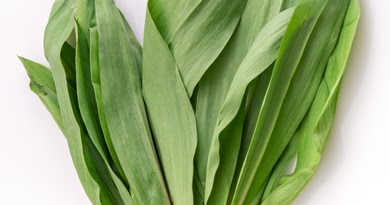 Edible Herbs, Flowers & Other Edibles - Grow Your Own Dinner!: Ramps ...