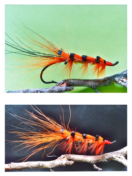 Artificial flies for fishing drawings and paintings: Pictures of ...