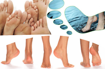 FUNGUS TERMİNATOR SYSTEM PDF FULL DOWNLOAD ~ FUNGUS TERMINATOR SYSTEM