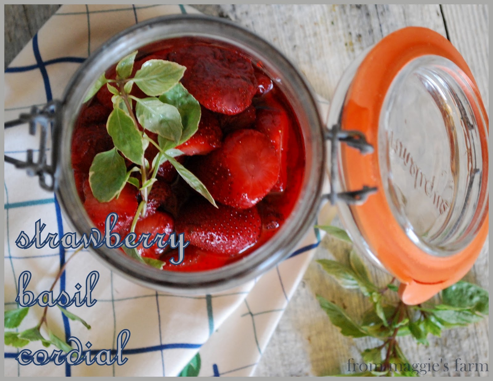 Notes from Maggie's Farm: farmstead strawberry basil cordial