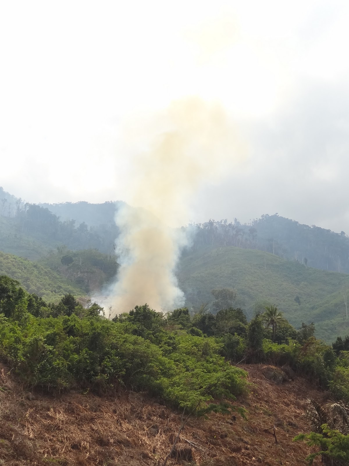 La route des îles: de la vanille aux "cups of tea": Trek : cultures sur ...