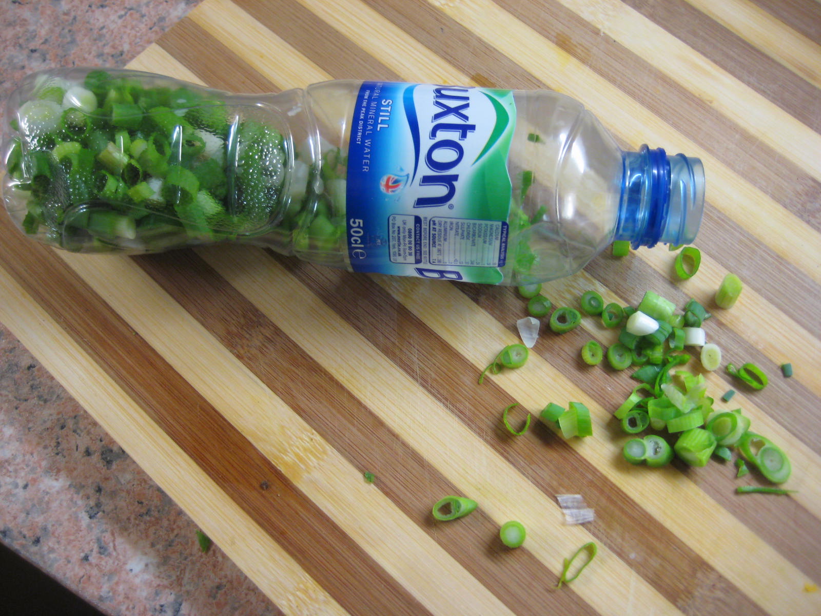 100% Recycled and Reusable Blog: Storing dried Spring/Green Onions in ...