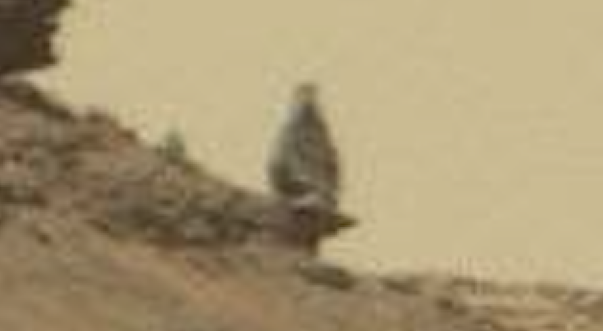 UFO SIGHTINGS DAILY: Deity Statue Found On Mars With Giant Diamond ...