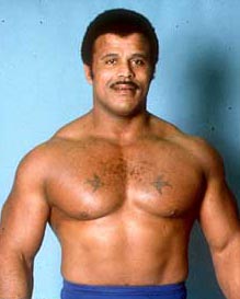 My 1-2-3 Cents : Black History Month: Rocky Johnson