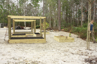 Baking in Sunshine: Make do or do without.