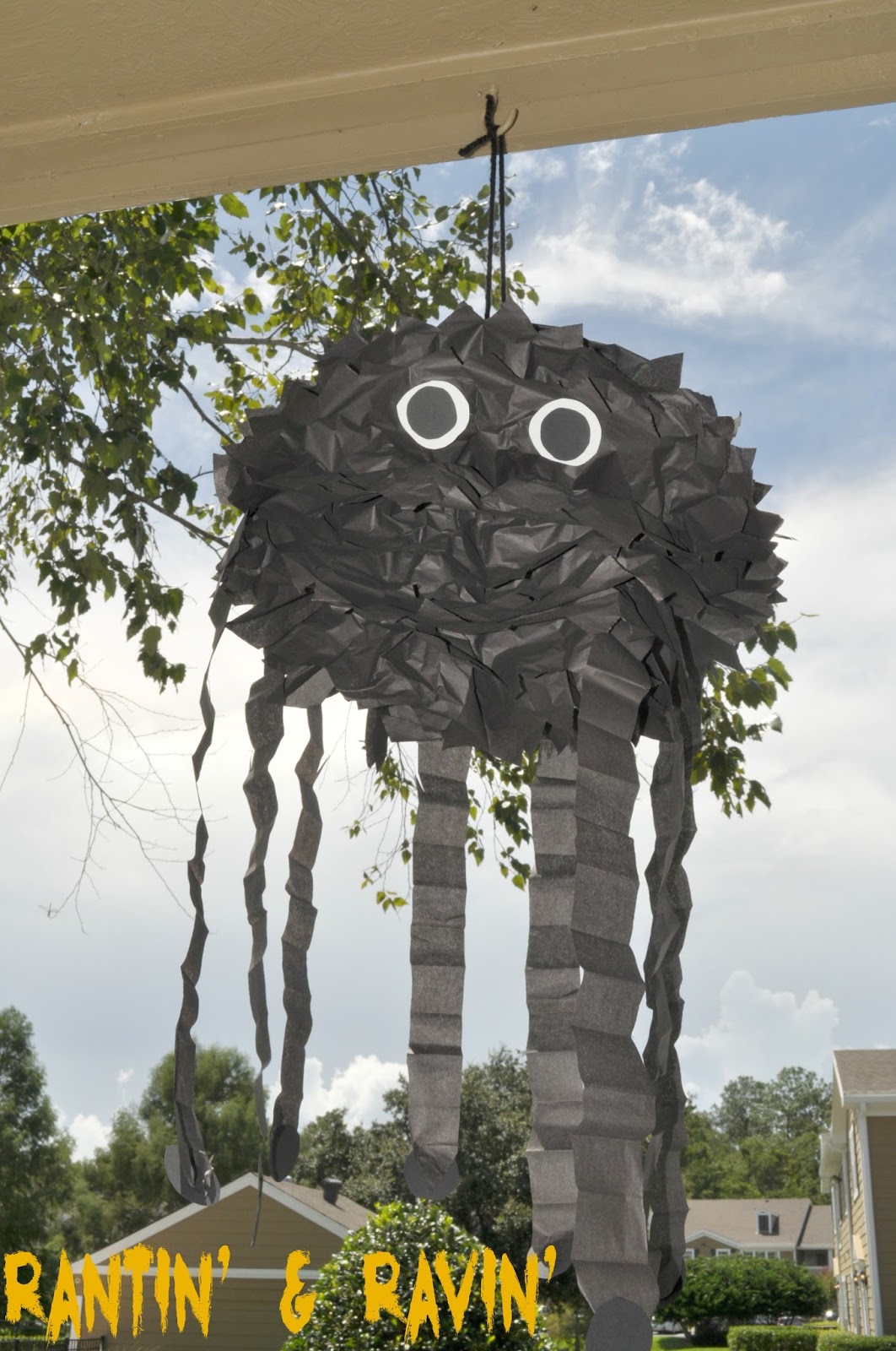 Rantin' & Ravin': EEK!!! SPIDER!!!