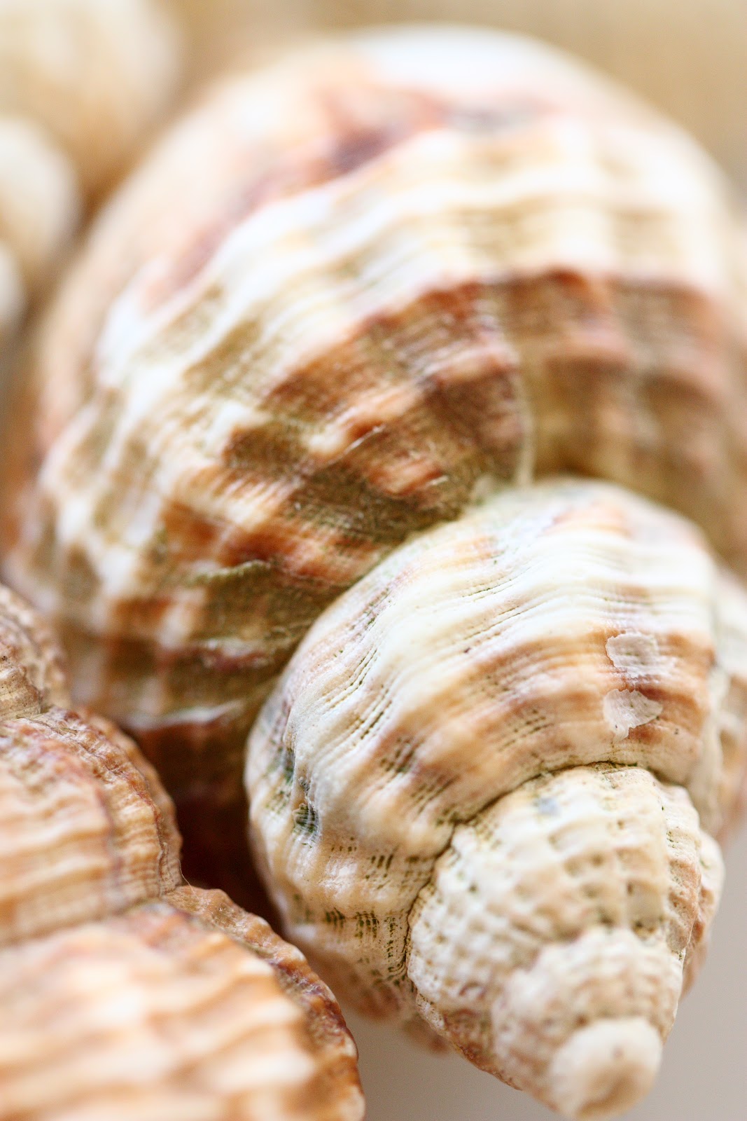 STITCHWORKS: July 2012