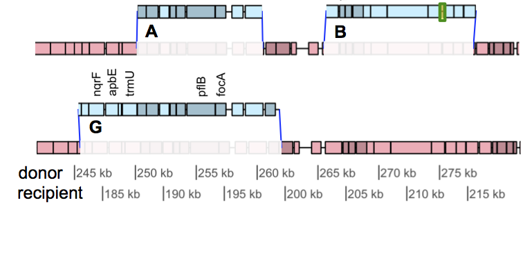 RRResearch: A new CIHR proposal?