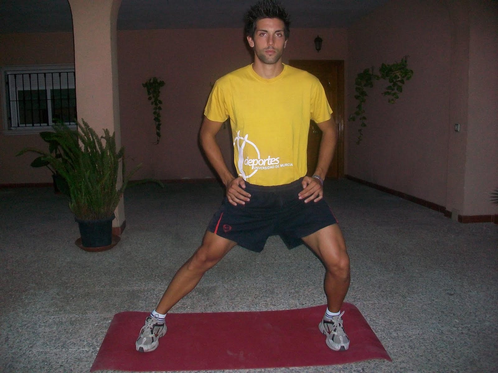 EDUCACIÓN FÍSICA, SALUD Y DEPORTE: FLEXIBILIDAD