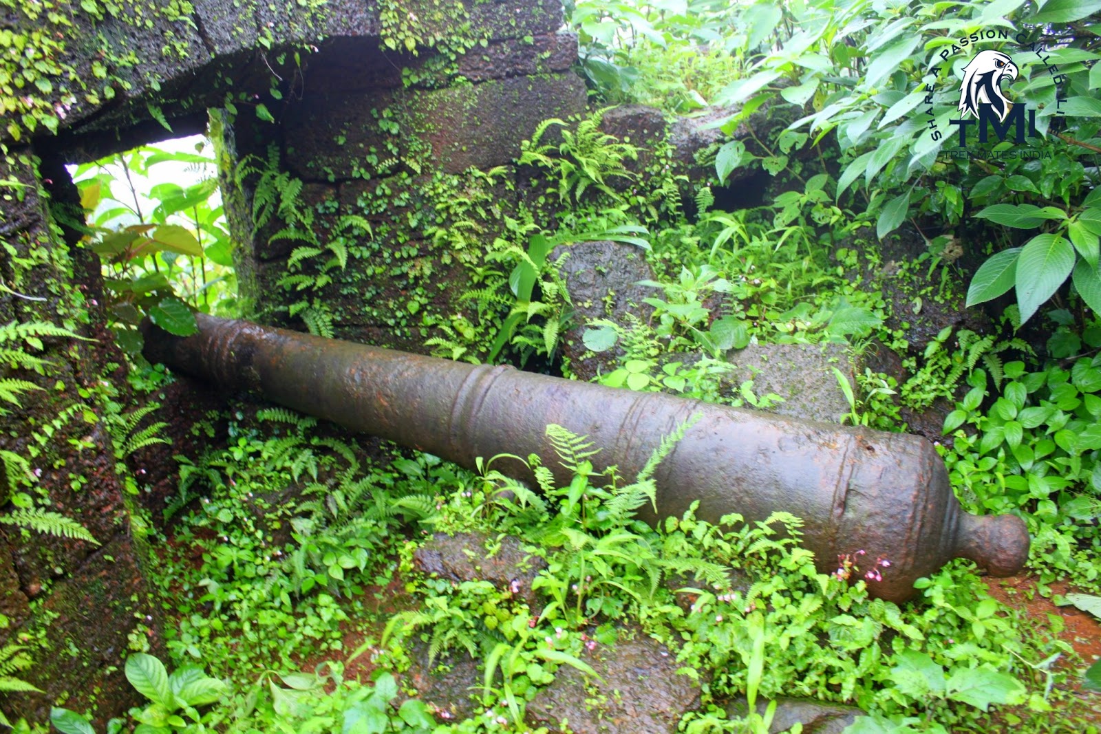 TMI: 3D/2N Trekking & Camping to Dense Forest & Waterfalls in mighty ...