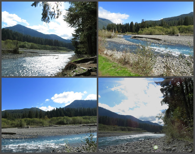 Viewing nature with Eileen: Hoh Rainforest, Olympic Nat'l Park