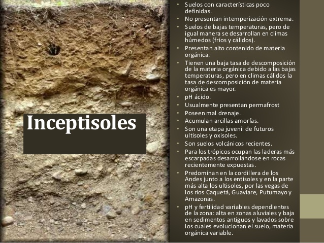 TARAGÜI PORÁ: Tipos de suelos en Corrientes