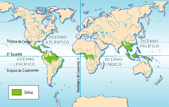 3º ESO : ¨Mapa de las selvas del mundo¨