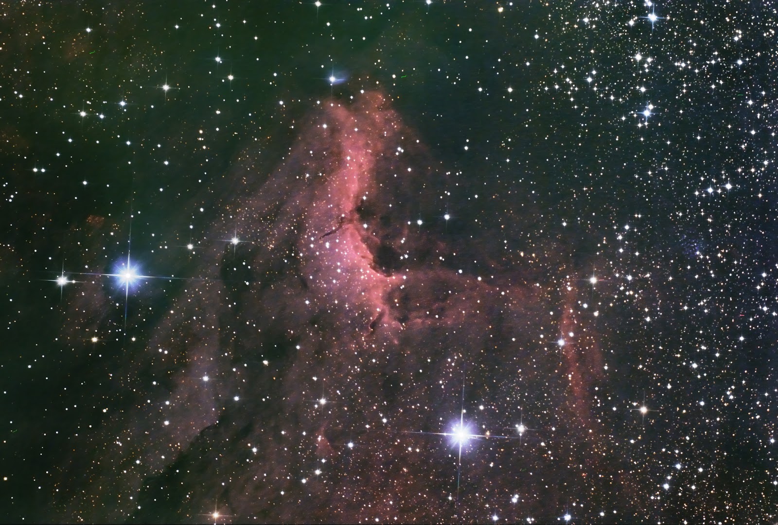 Pelican Nebula in Cygnus 2014