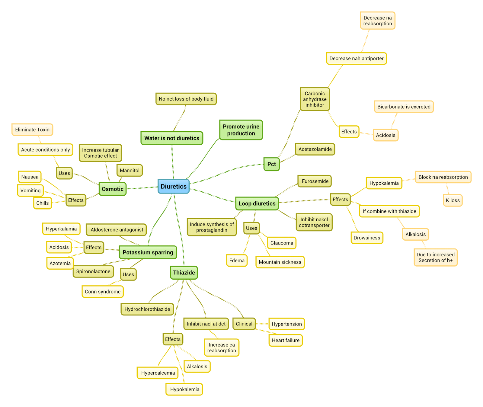 Medical Concept maps : Urinary System
