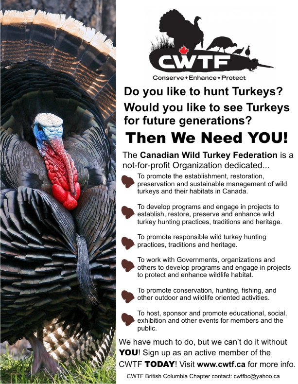 Wild Turkey Fever: The Canadian Wild Turkey Federation – A Voice For ...