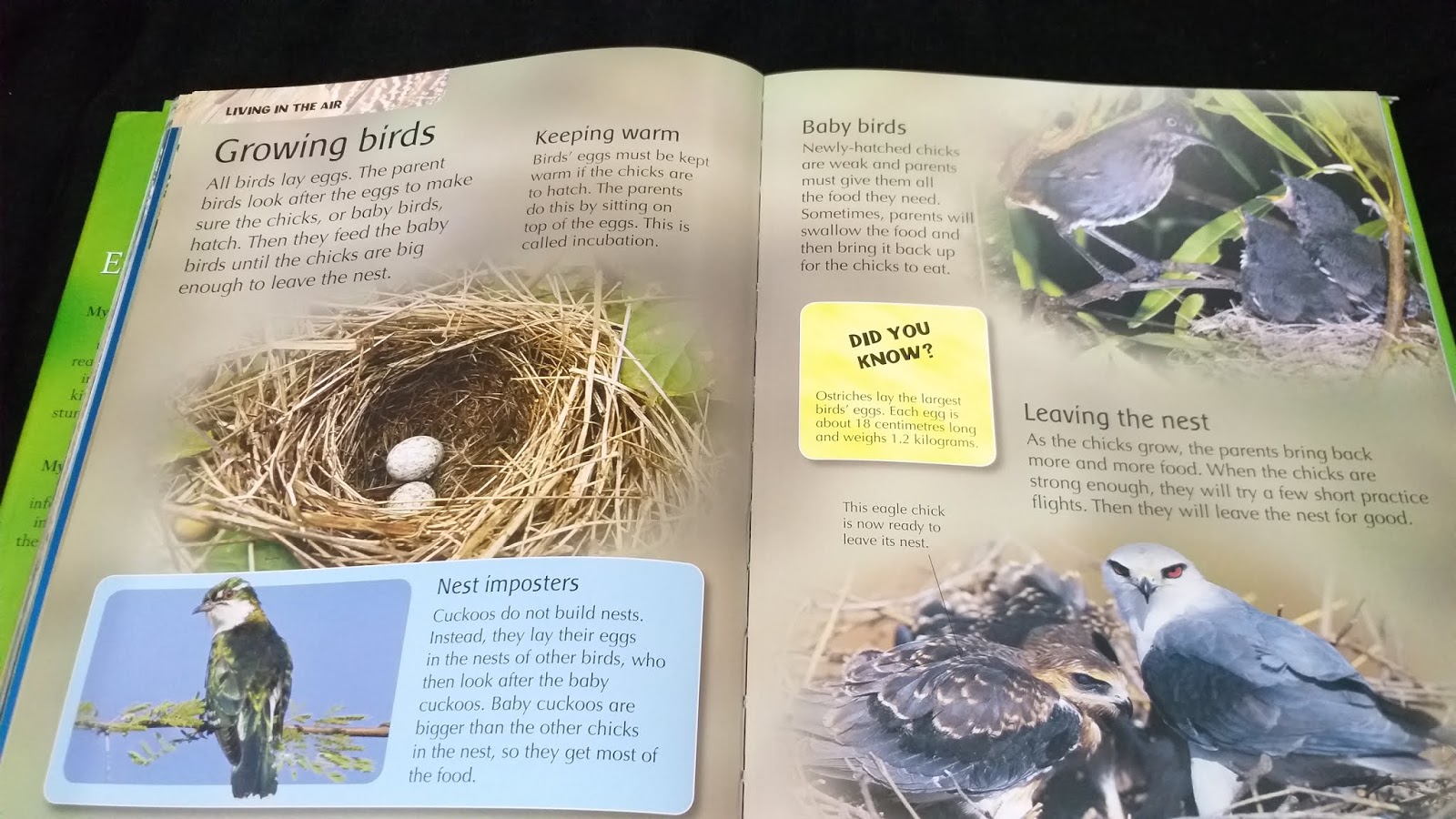 Kid Books Blog: 203.My First Animals Encyclopedia