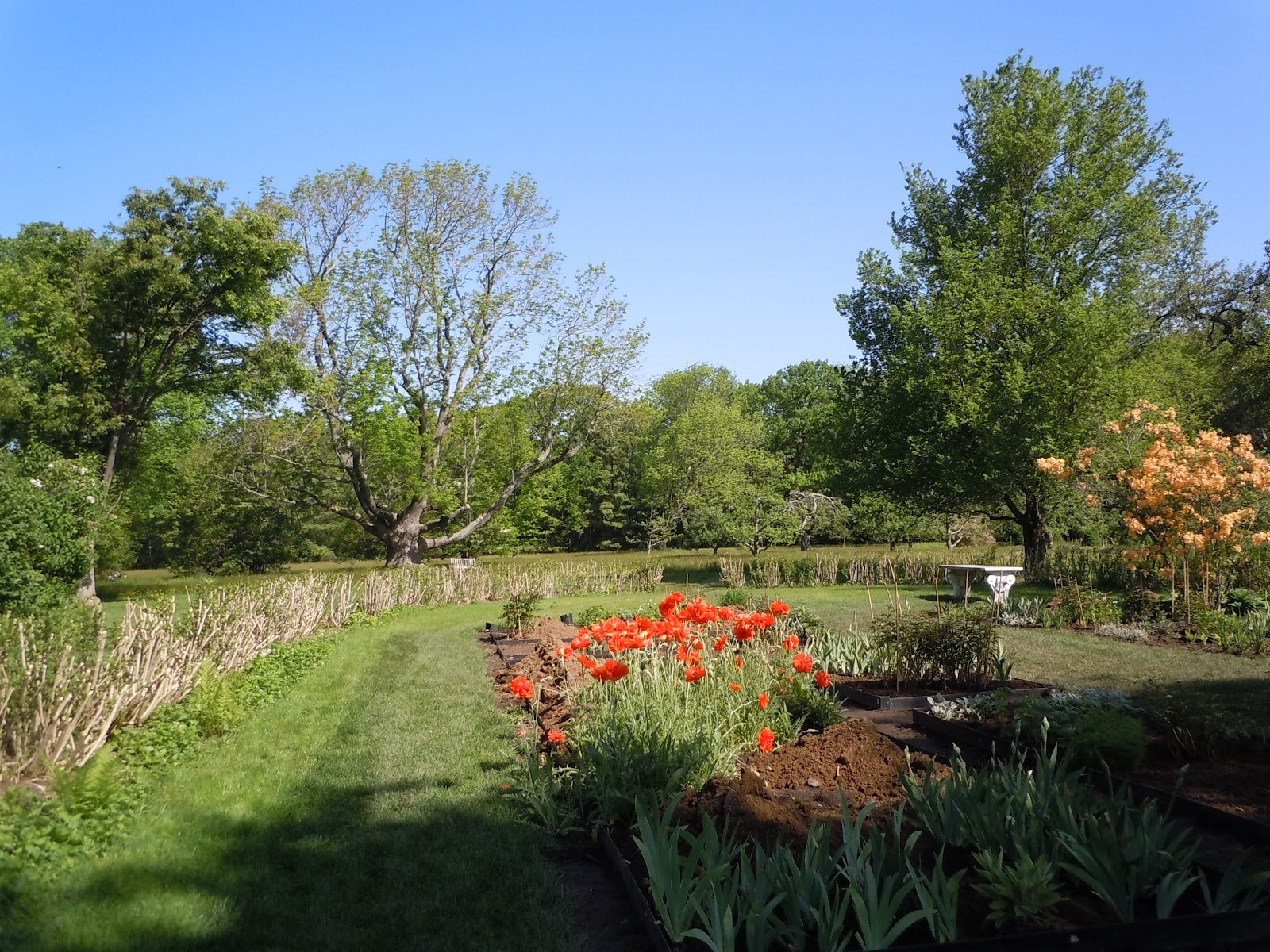 Life From The Roots: The Stevens Coolidge Estate and Gardens Revisited ...