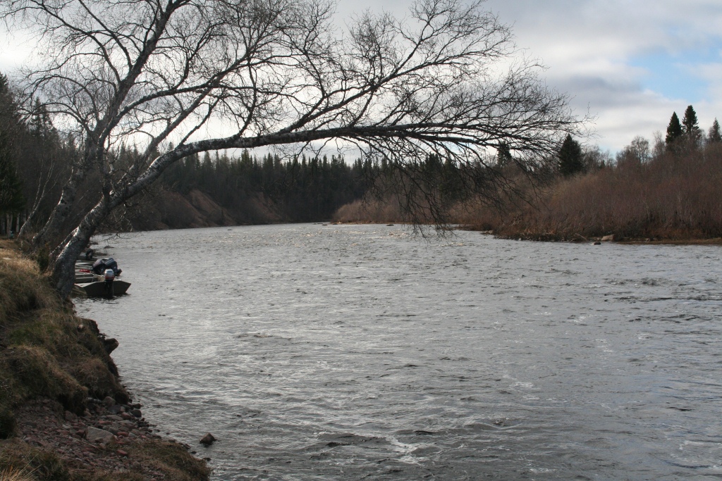 Roxtons Varzuga Blog: Kitza changeover