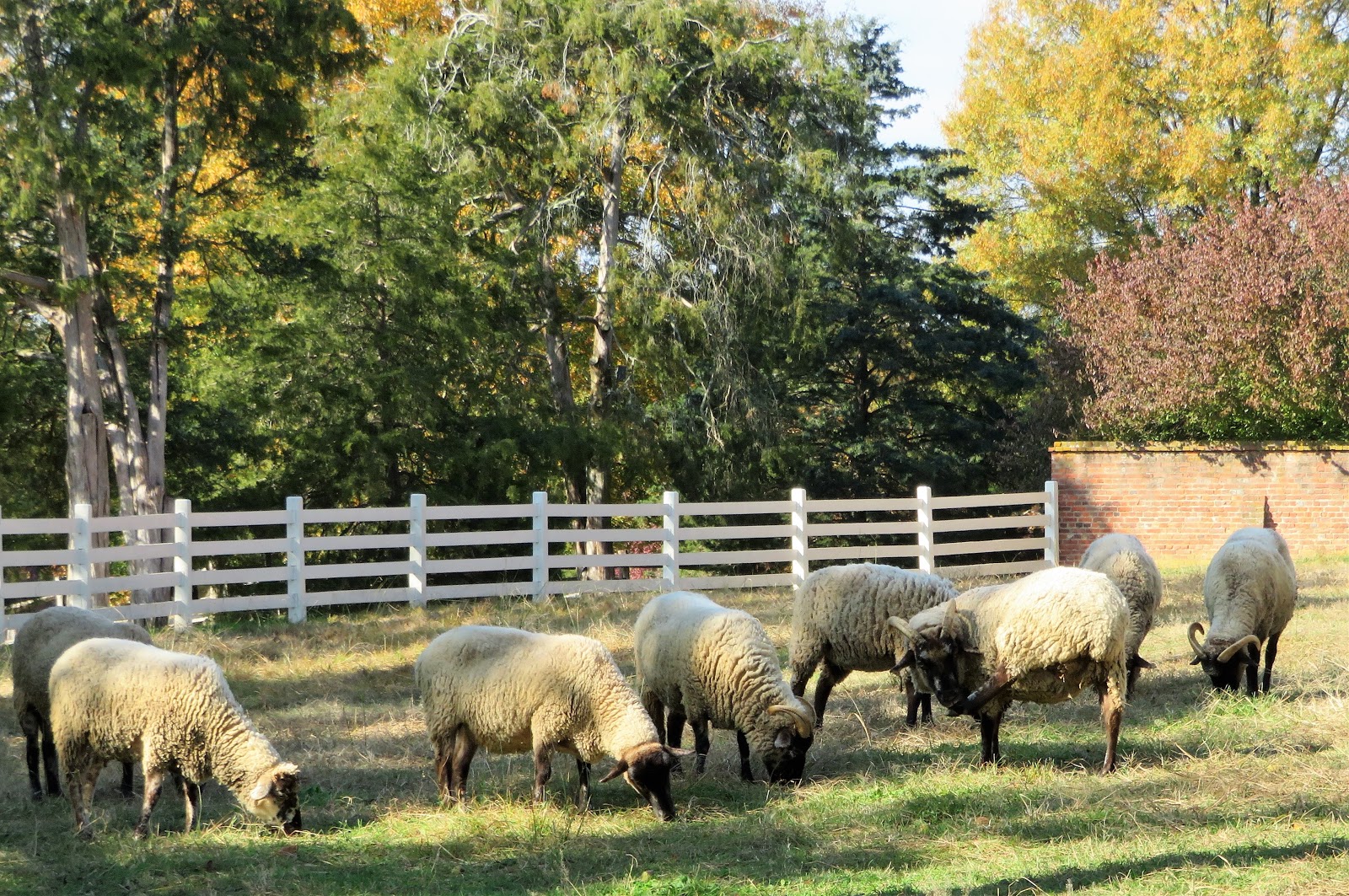 Somewhere Else: It's All About Washington