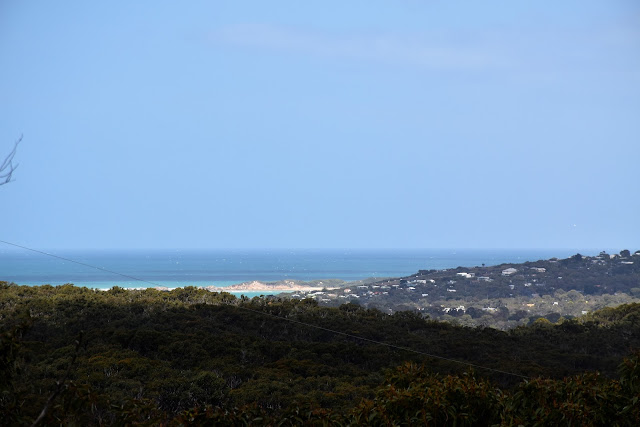 Goin' Feral One Day At A Time: Anglesea Heath Circuit - September 2017