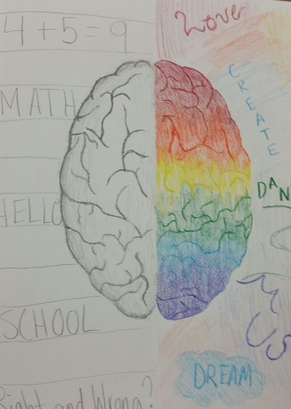 INTRO TO Drawing and Design : Right and Left side of the Brain