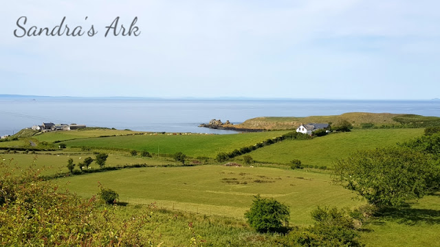 Sandra's Ark: Islandmagee - A to Z of Places I have Visited