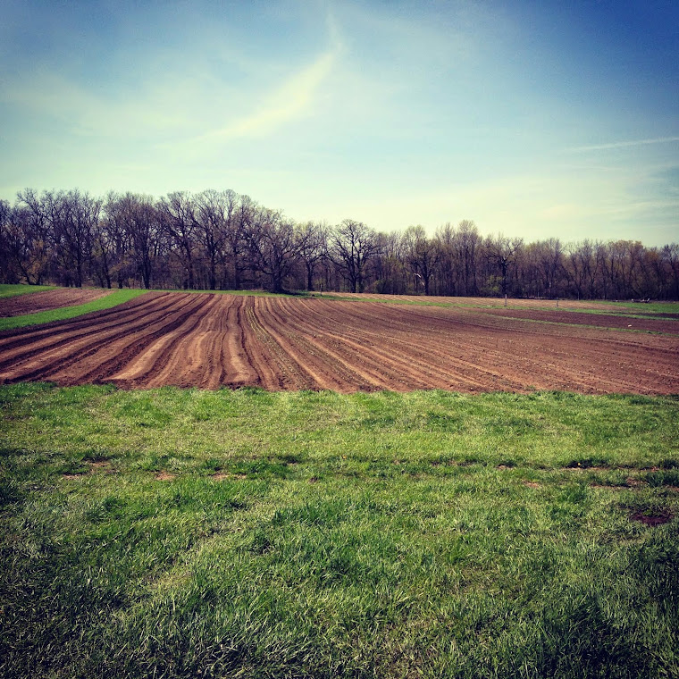 Learning Through Landscapes