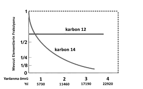 Karbon 14 nedir? Kısaca radyokarbon tarihleme yöntemi - Laf Sözlük