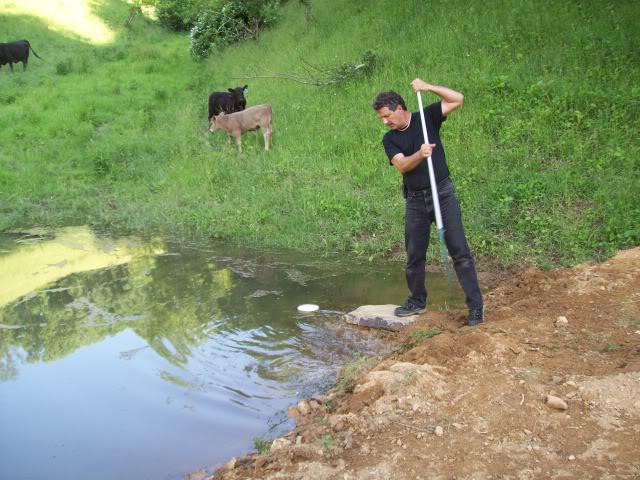 Mike and Lisa's World: Chapter 99...Filling The Pond And A Cow Goes ...