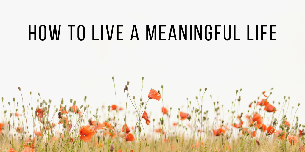 HOW TO LIVE A MEANINGFUL LIFE