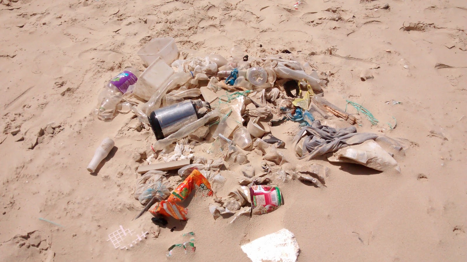 Sustainable Seas: Perceptions of marine litter – why should we try to ...
