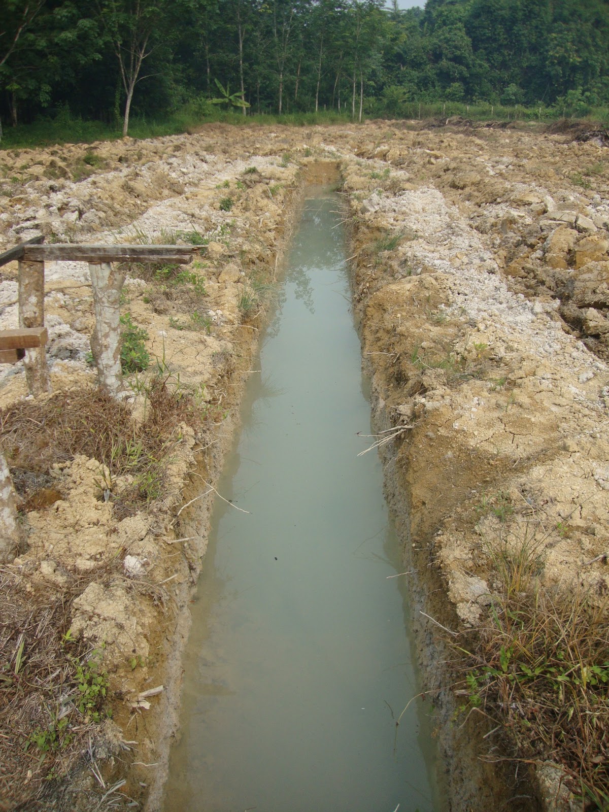 D'Desa Agro: Pemparitan