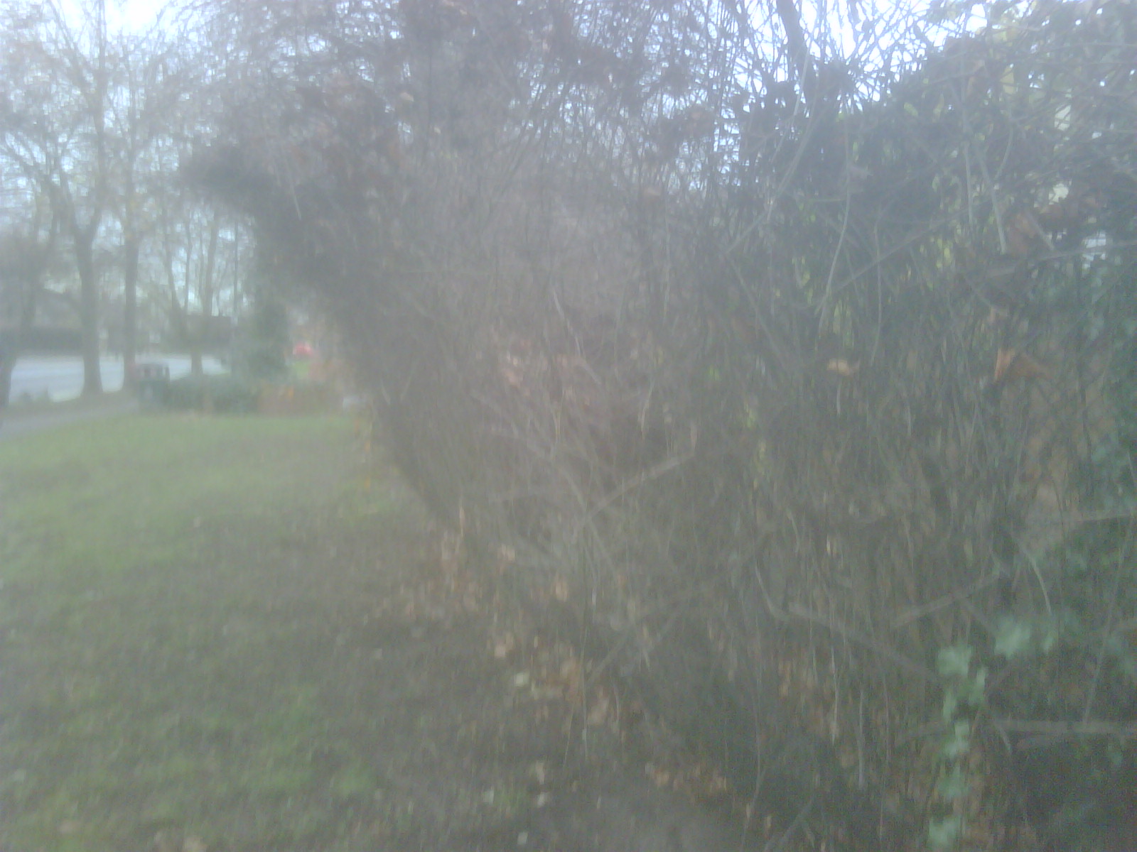 James Powney's Blog: Hazel Road Open Space Fencing