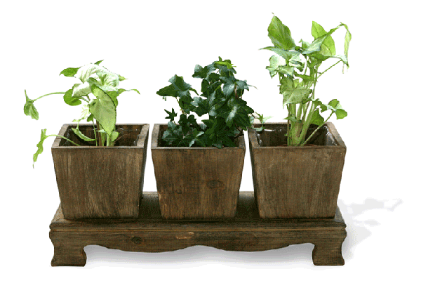 11 Desain Pot Bunga Minimalis Yang Bagus