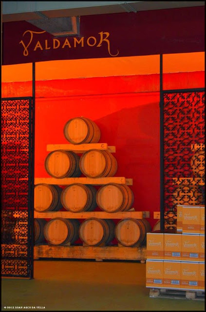 XOAN ARCO DA VELLA: BUSES DEL VINO - 2016