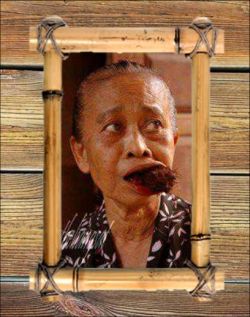 Perilaku dan Pitutur a la Jawa: SUSUR DAN UNGKAPAN JAWA