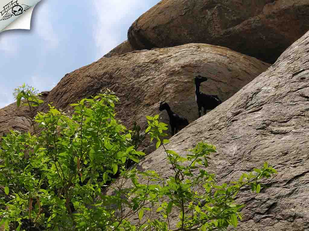 Rayakottai Fort - A peak summer trek 29/04/2018