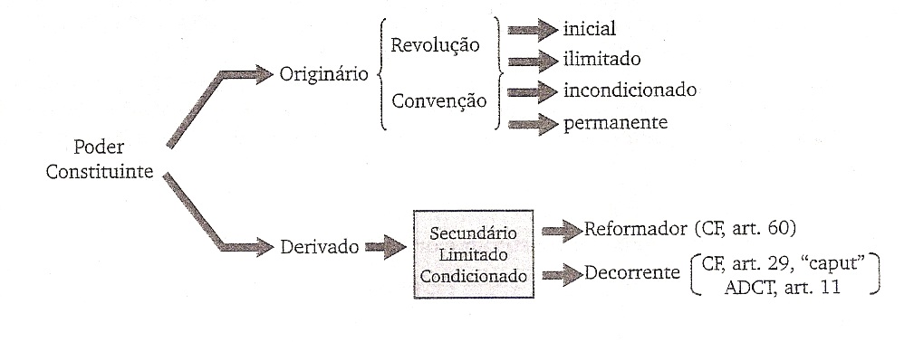 Sorria e Acene!: Constitucional - Poder Constituinte
