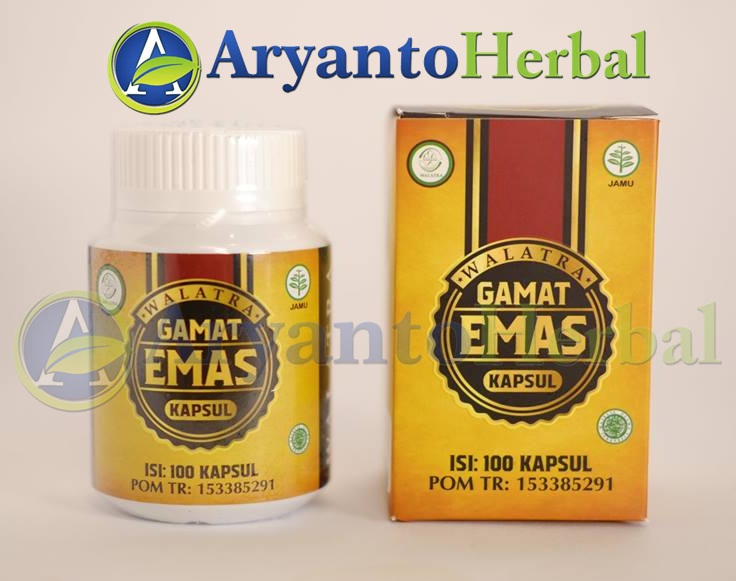 Obat Gamat Kapsul Teripang Emas Walatra | Ekstrak Teripang Emas Murni ...