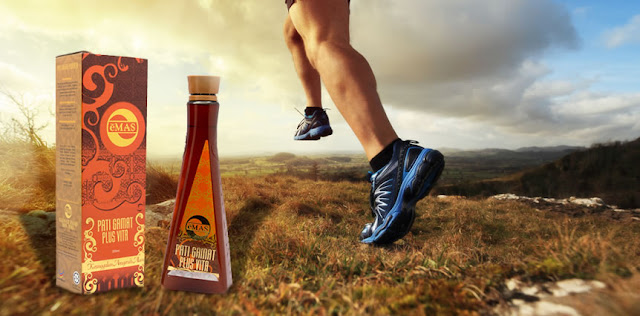 Gamatemas Klang: PATI GAMAT PLUS VITA