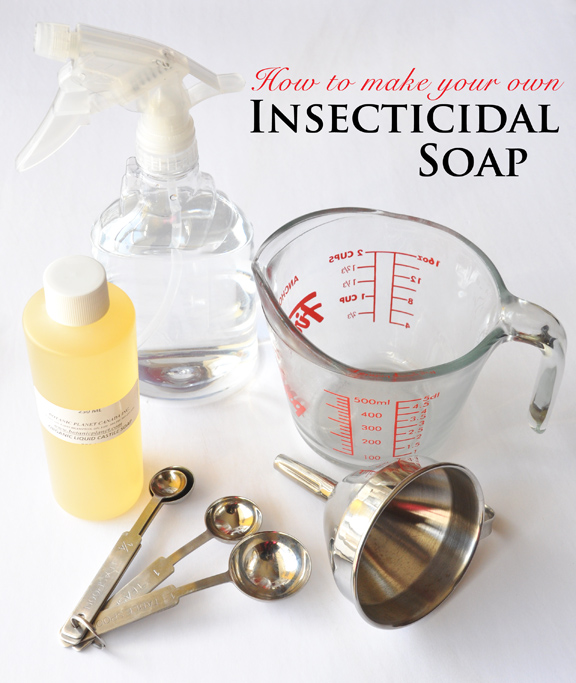 Three Dogs in a Garden @ Home: How to make your own Insecticidal Soap